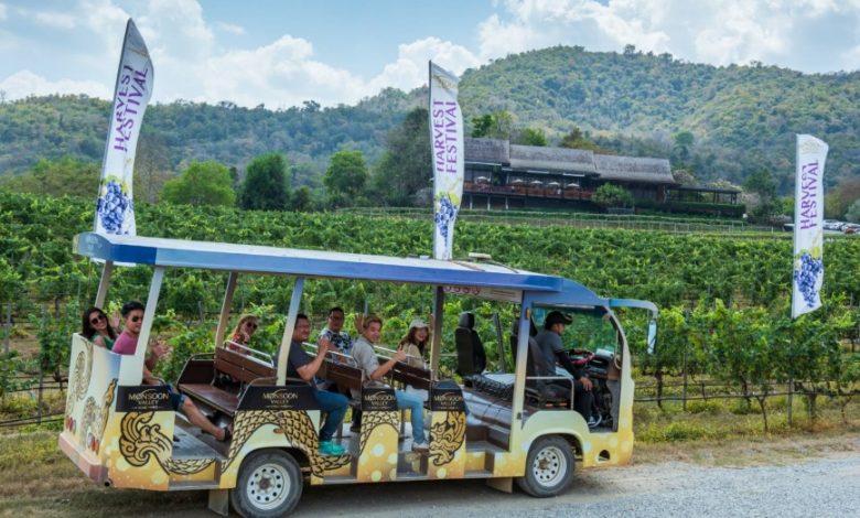 Monsoon Valley Vineyard Celebrates the Annual Harvest Festival 2025 ...